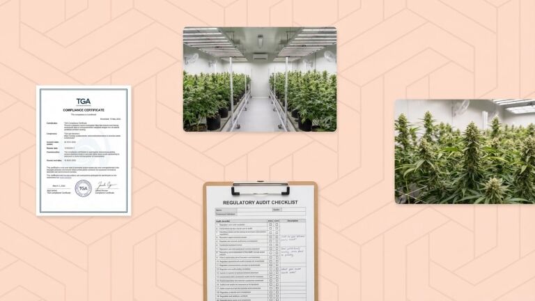 Australia TGA Cannabis Compliance 2025: New Rules for Producers | GrowerIQ