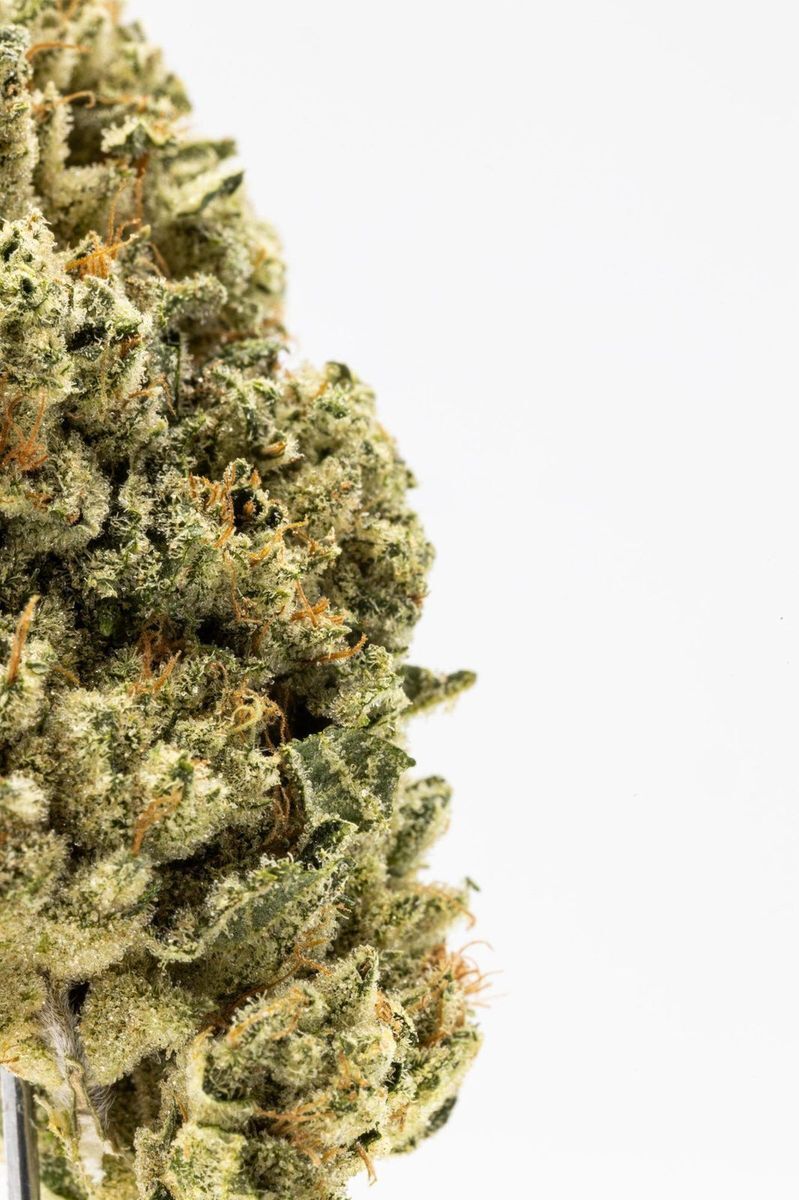 Drying Cannabis for Best Flavor & Potency | Grower IQ