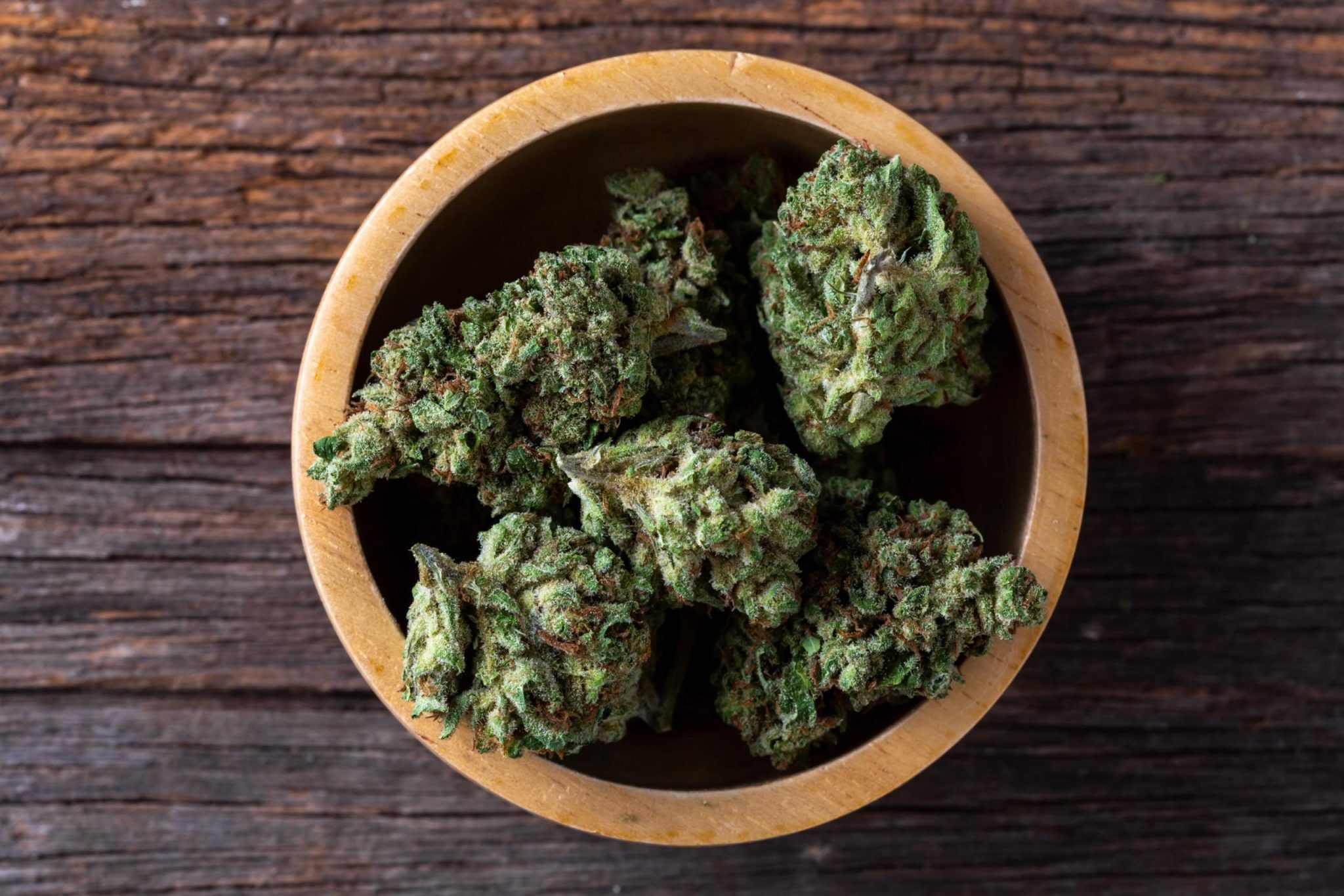 Cannabis Fertilizer | GrowerIQ